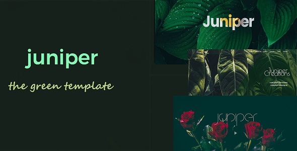 Juniper - Creative Multi Purpose Template by ThemeNow | ThemeForest